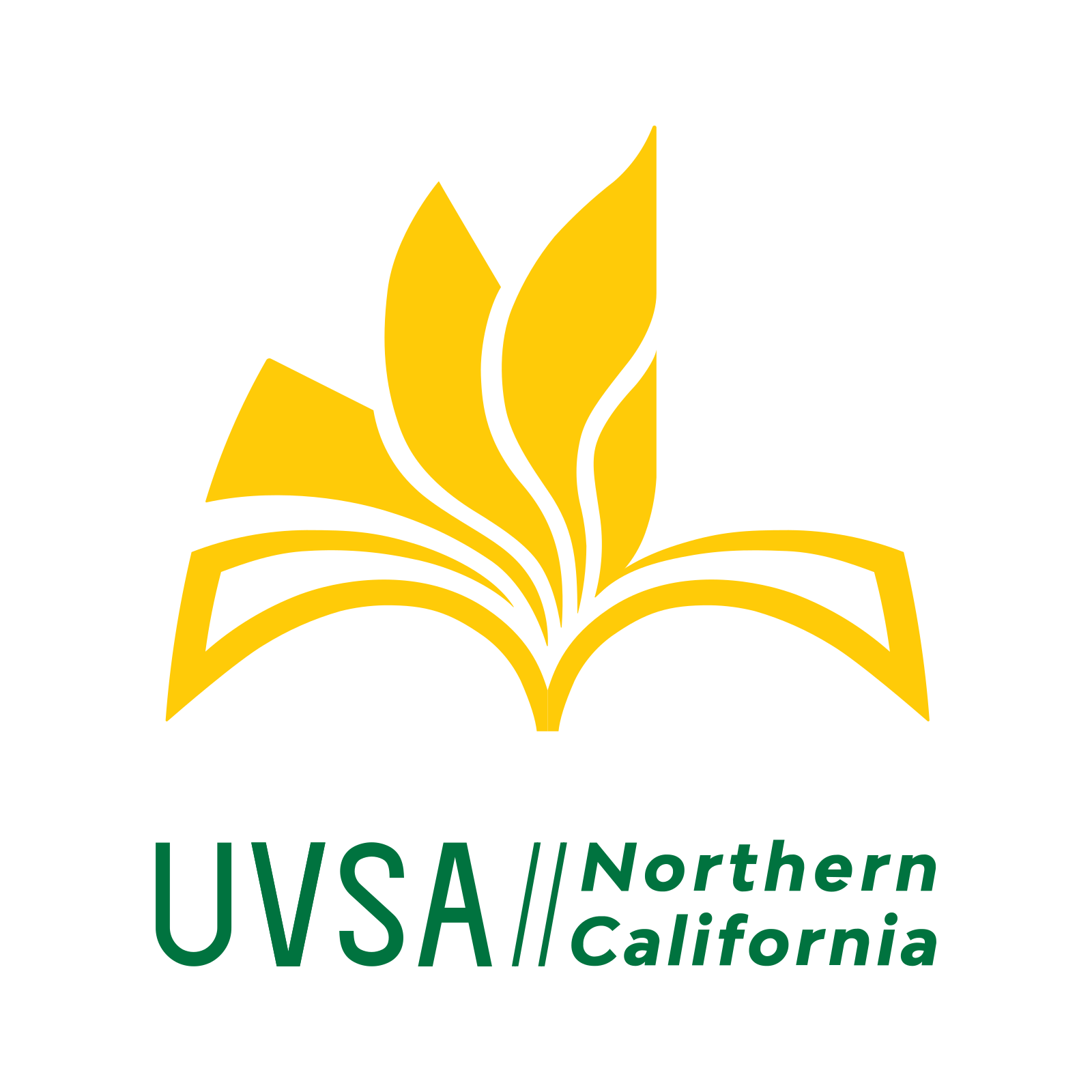 Celebrating Our HeART-filled Heritage: Vanessa Vân-Ánh Võ - Oakland ...